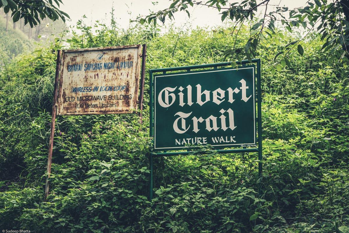 Kasauli 3 "Gilbert Trail" - Traveler Tree