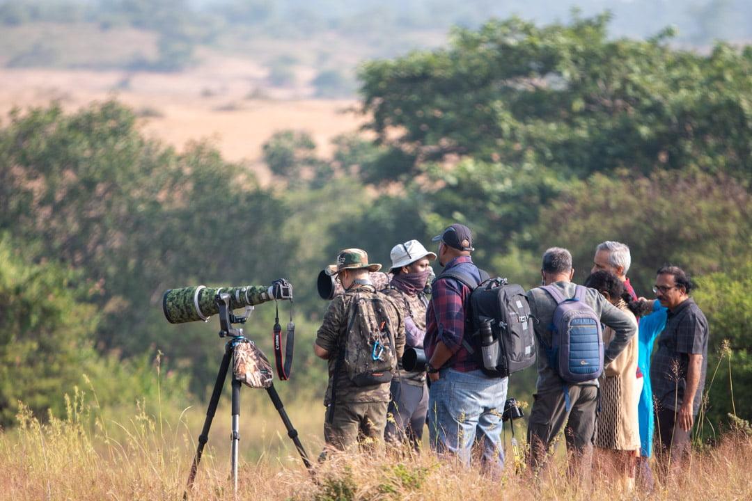 Ananthagiri Hills Forest “The Bird Photography” - Traveler Tree