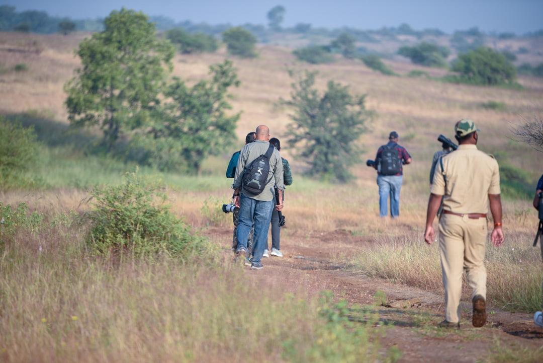Ananthagiri Hills Forest “The Bird Photography” - Traveler Tree