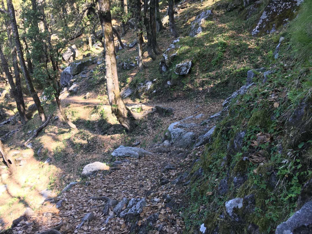 Shikari Devi 2 “Lost in the Kamrunag Trek” – Traveler Tree