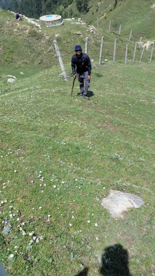 Shikari Devi 2 “Lost in the Kamrunag Trek” - Traveler Tree