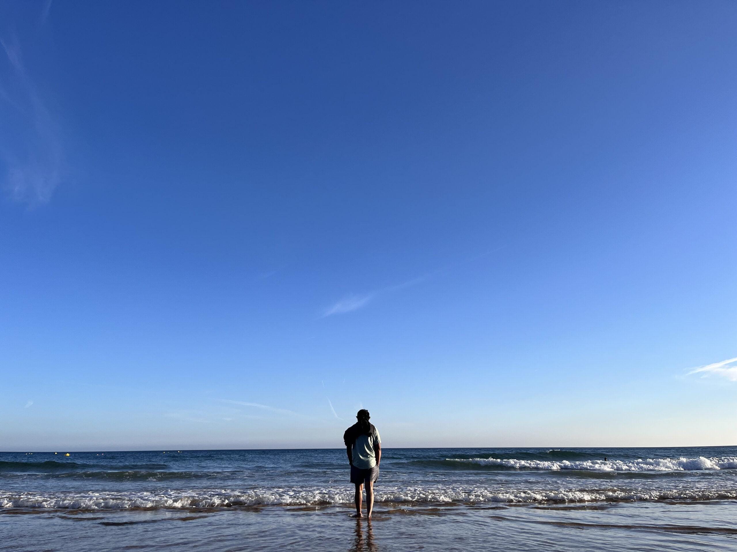 Praia da Rocha "The Beach of My Dreams" - Traveler Tree